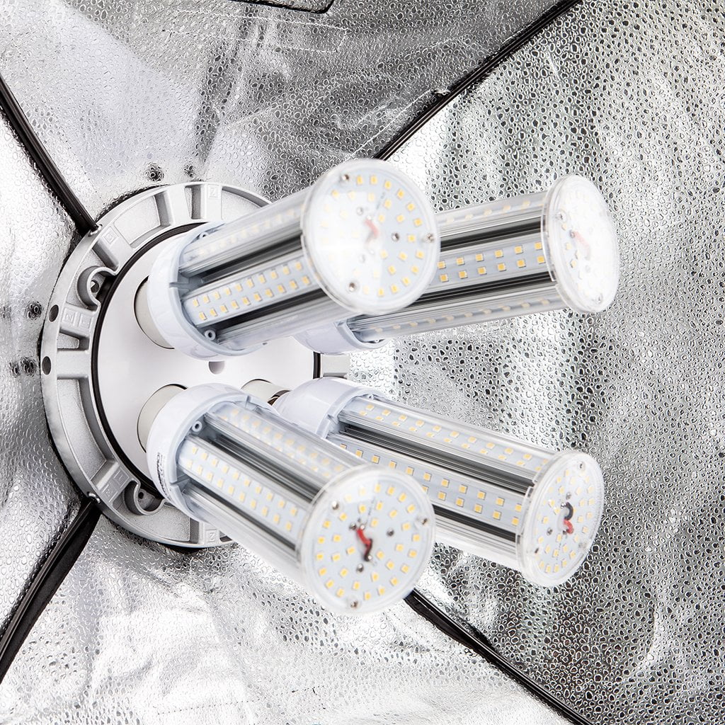 Quadstar LED II Continuous Light Kit - Strobepro Studio Lighting